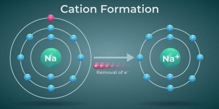 Why Are Cations Smaller Than Their Parent Atoms? - Rising Net Worth