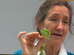 What Happened To Sweeettails?: The Shocking Truth Revealed - Rising Net Worth