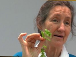 What Happened To Sweeettails?: The Shocking Truth Revealed - Rising Net Worth