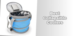 10 Best Collapsible Coolers In 2025