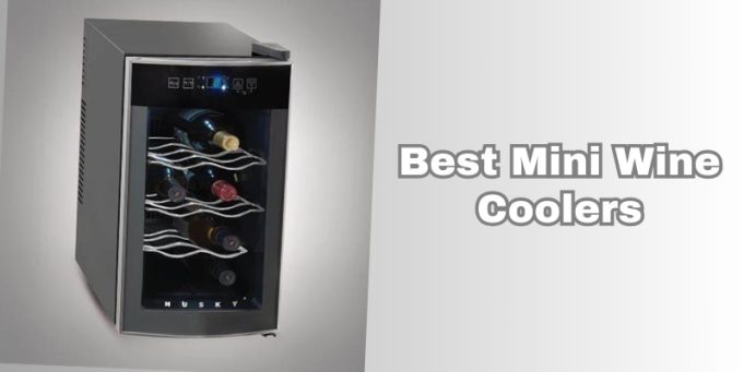 Top 10 Best Mini Wine Coolers In 2025